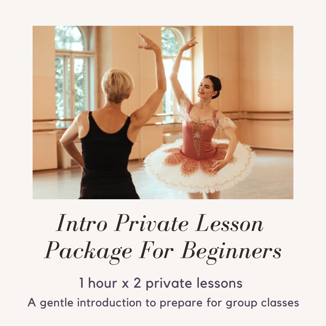 Intro Private Lesson Package for Beginners - Mari Ballet Class